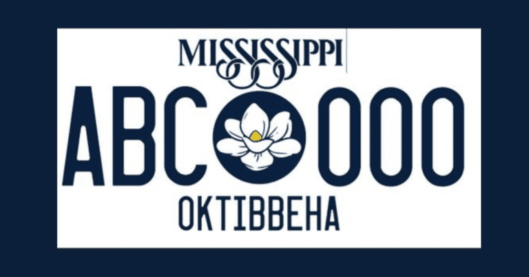 New Mississippi license plate to roll out in January 2024 - Magnolia ...