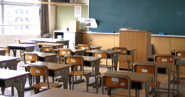 Susan Crabtree, Author at Magnolia Tribune