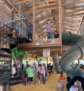 Mitchell Farms: Much more than pumpkin fun to be had on the farm ...