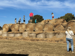 Mitchell Farms: Much more than pumpkin fun to be had on the farm ...