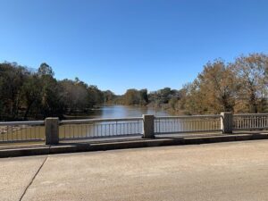 Mississippi Legends: Bobbie Gentry - Magnolia Tribune